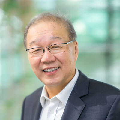 Professor Teck Seng Low